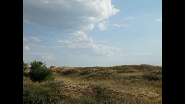VID_20230609_192653_568.mp4