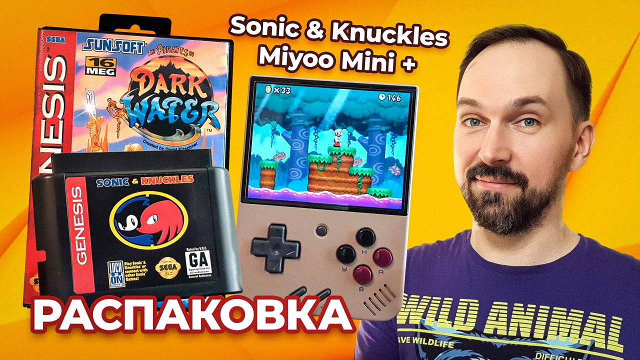Miyoo Mini Plus, Sonic & Knuckles, Pirates of Dark Water и контроллеры 8bitDo / Распаковка