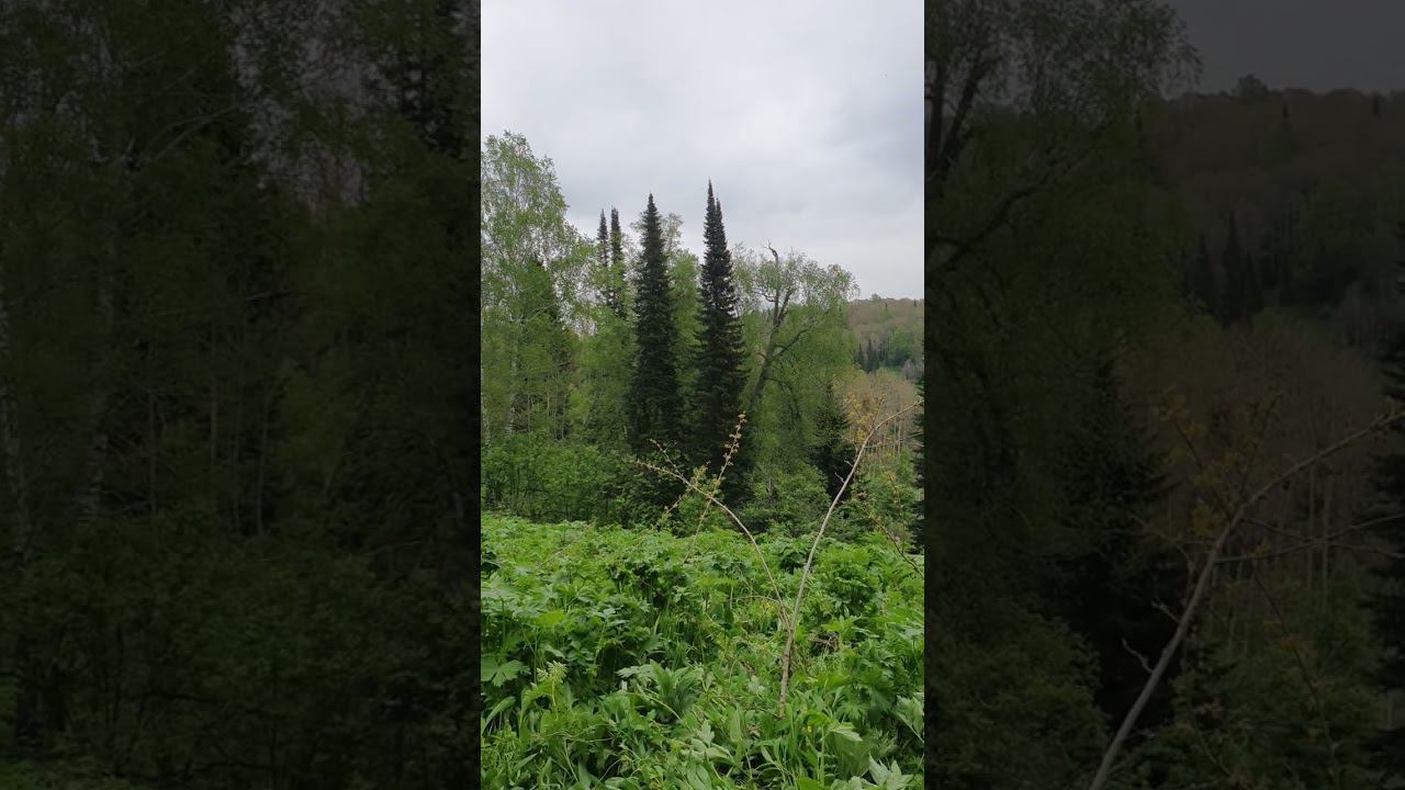 Наедине с природой.