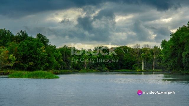 Дракон
