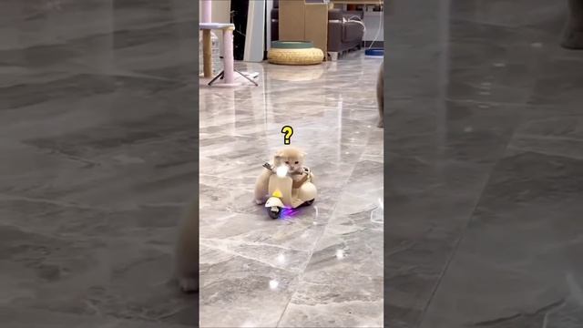 Когда угнал батин моцик ? #мем #юмор #смех #ржач #прикол #мемас #ржака #приколюха #ржунимагу #ор