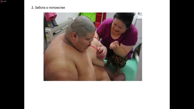 Добро и Зло..