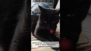 Кантик решил, что после тренировки в зале ?? нужно обязательно отдохнуть на диване