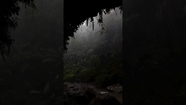 VID_20221106_011927_873.mp4