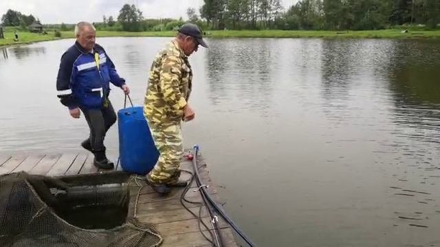 VID-20220621-WA0017.mp4