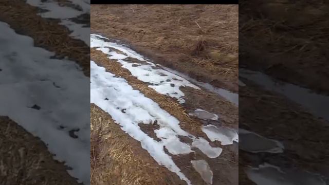 Заброшенные деревни
