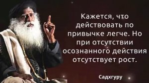 Садхгуру. Мудрые слова которые бросают в дрожь. Цитаты и афоризмы