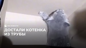 Достали котенка из трубы