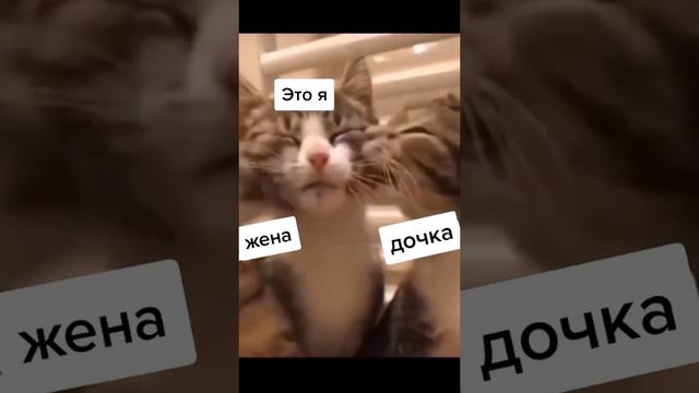 Правда жизни