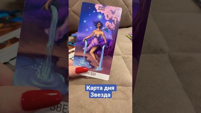 Карта дня Звезда