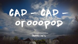 Сад - сад - Огооород I Таймлапс