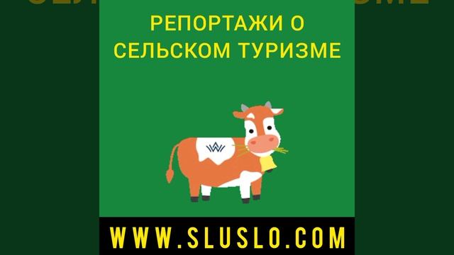 АРТ ДАЧА. Отдых в Белгородской области. Агротуризм 2022. Базы отдыха Белгородской области