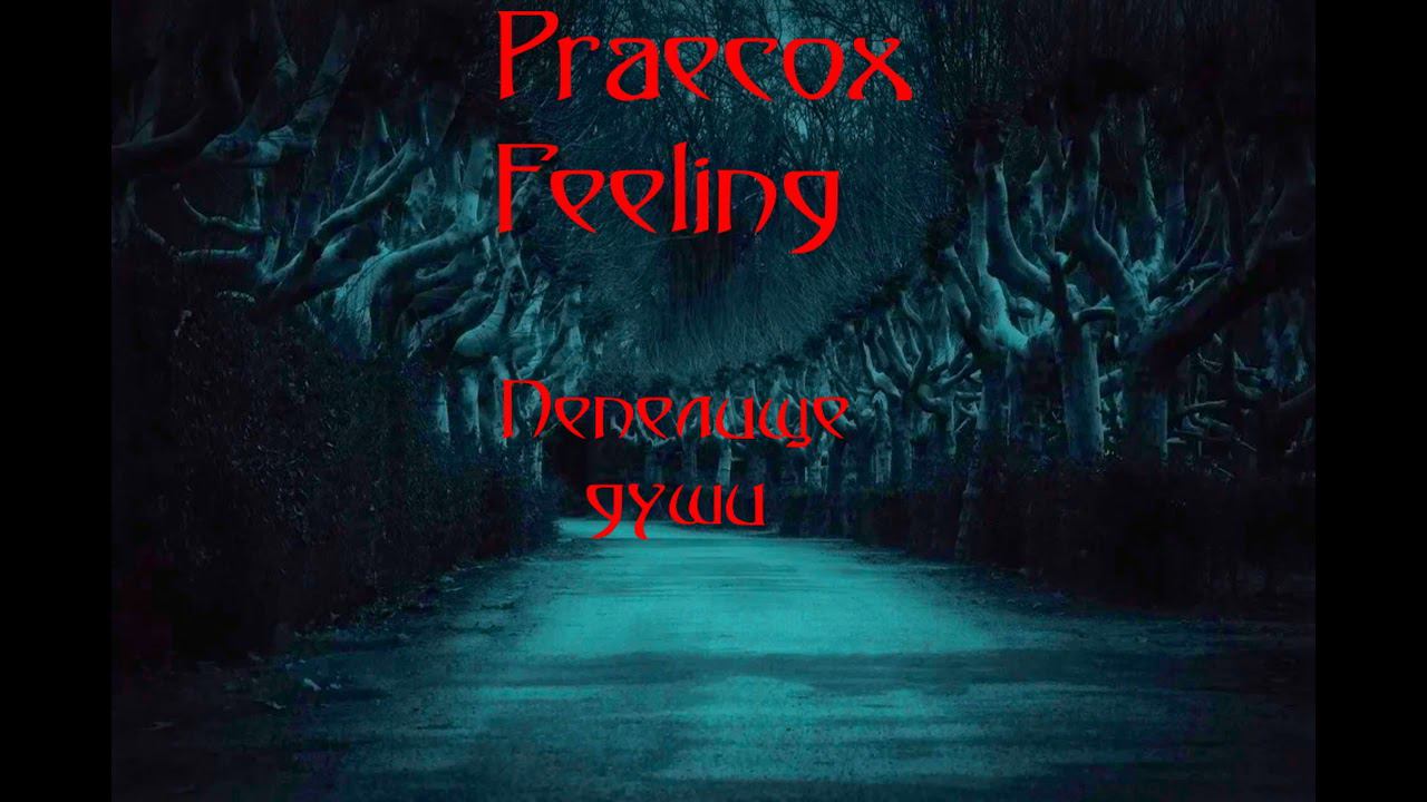 Praecox Feeling-Меньше 2 дней