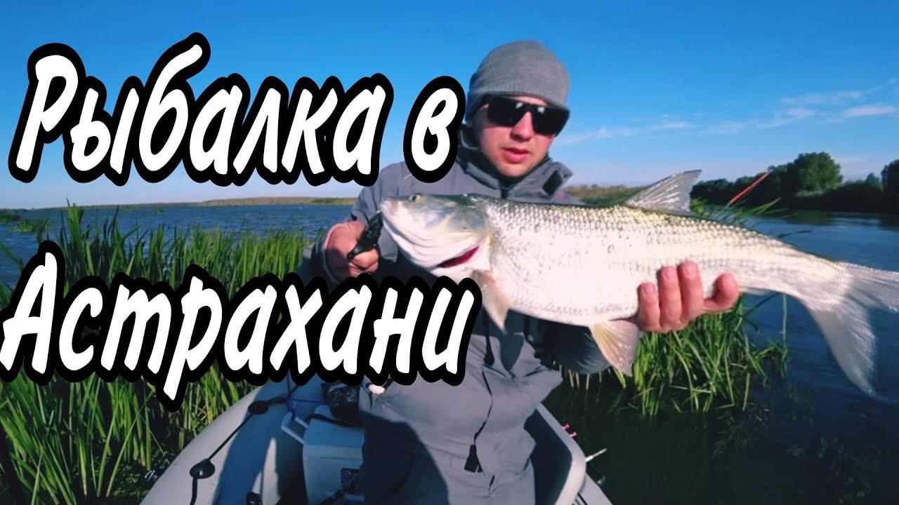Рыбалка в Астрахани, ловля жереха эта приманка(воблер)ловит всегда.
