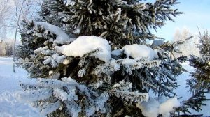 Зима в городе (часть 2).mpg