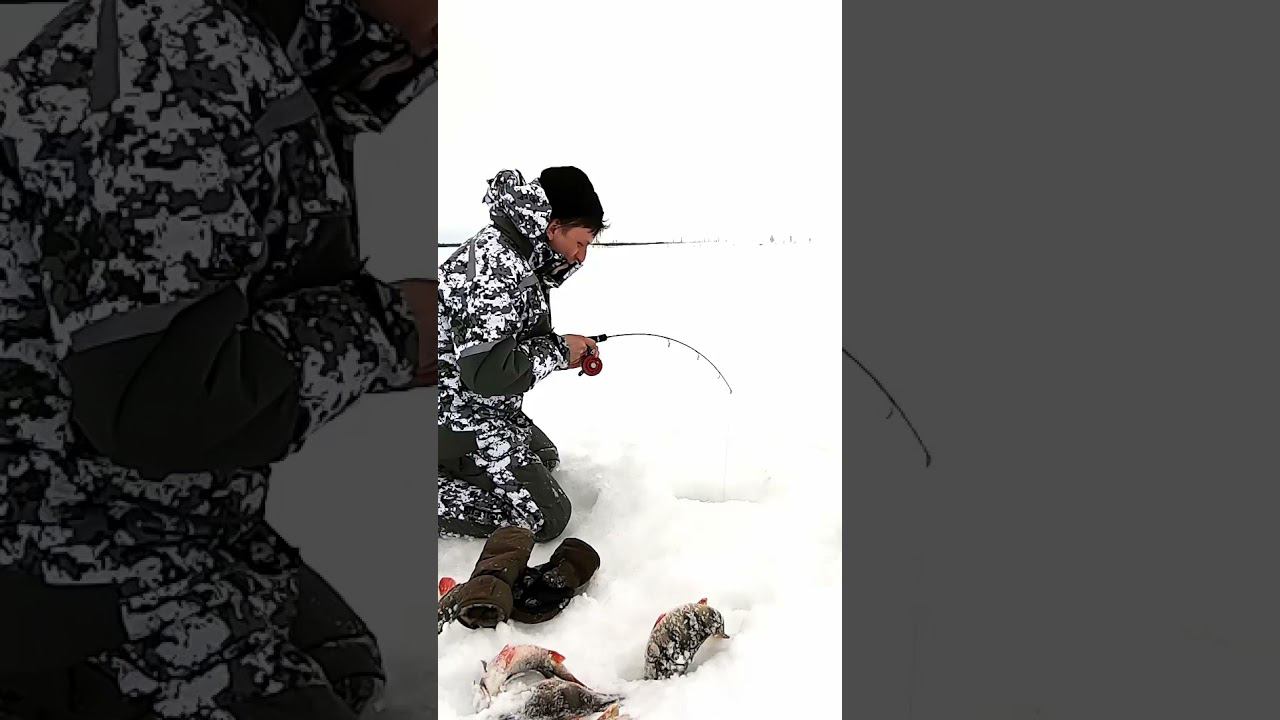 Попалась зубастая #shorts