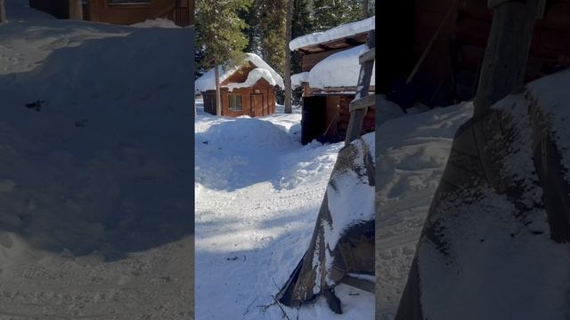 Горная Шория
