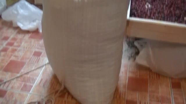 Высушенный шиповник каким он должен быть