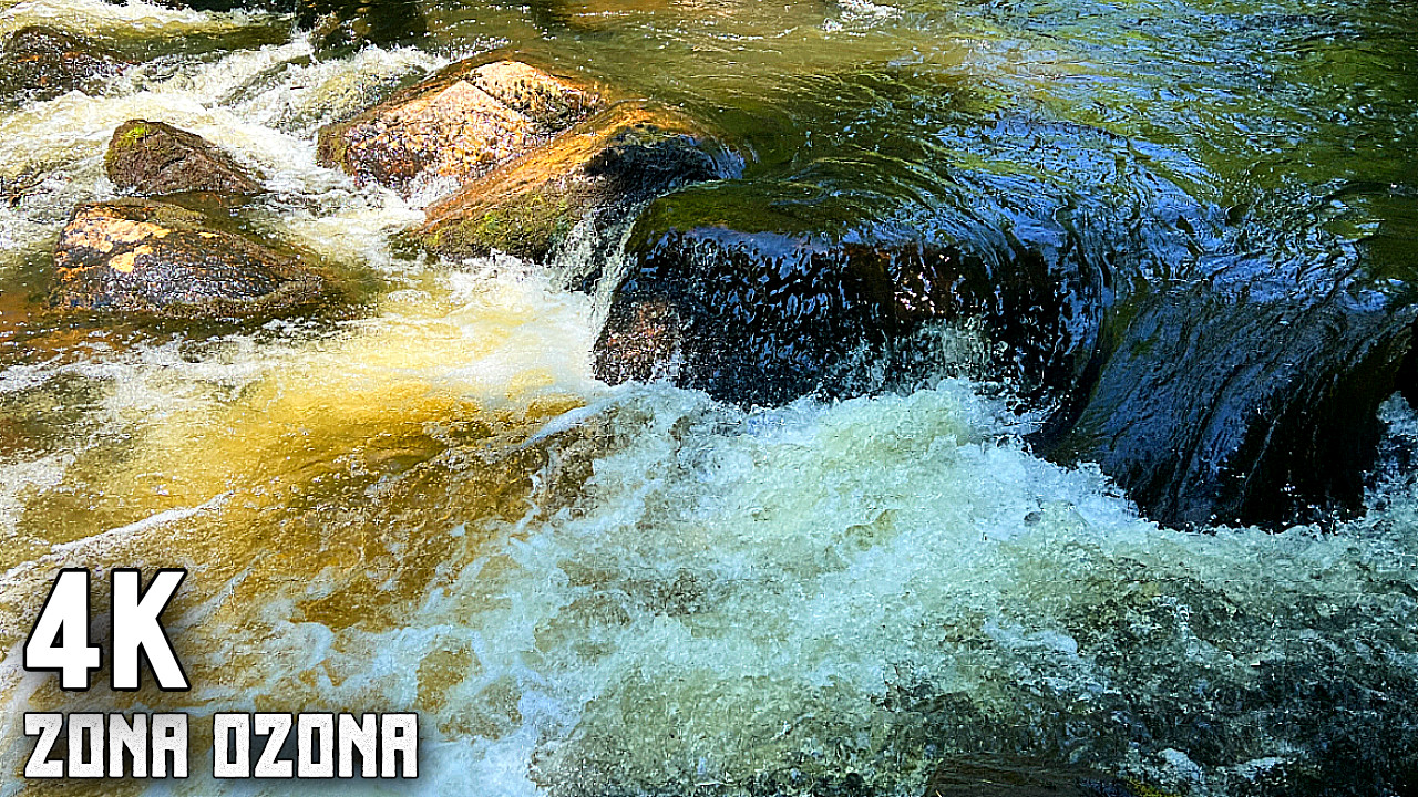 Лесная река холодная и шумная