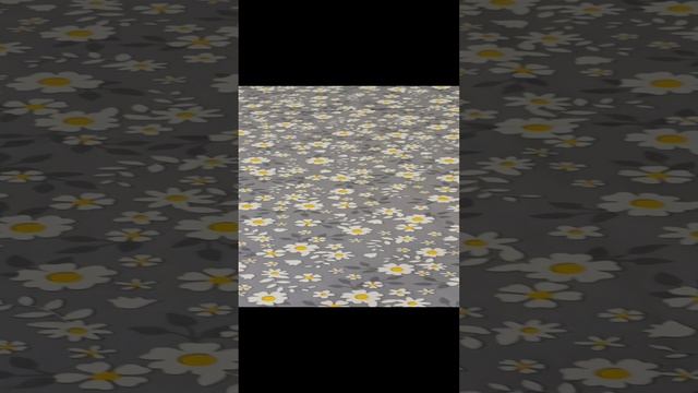 VID_20220904_203902.mp4