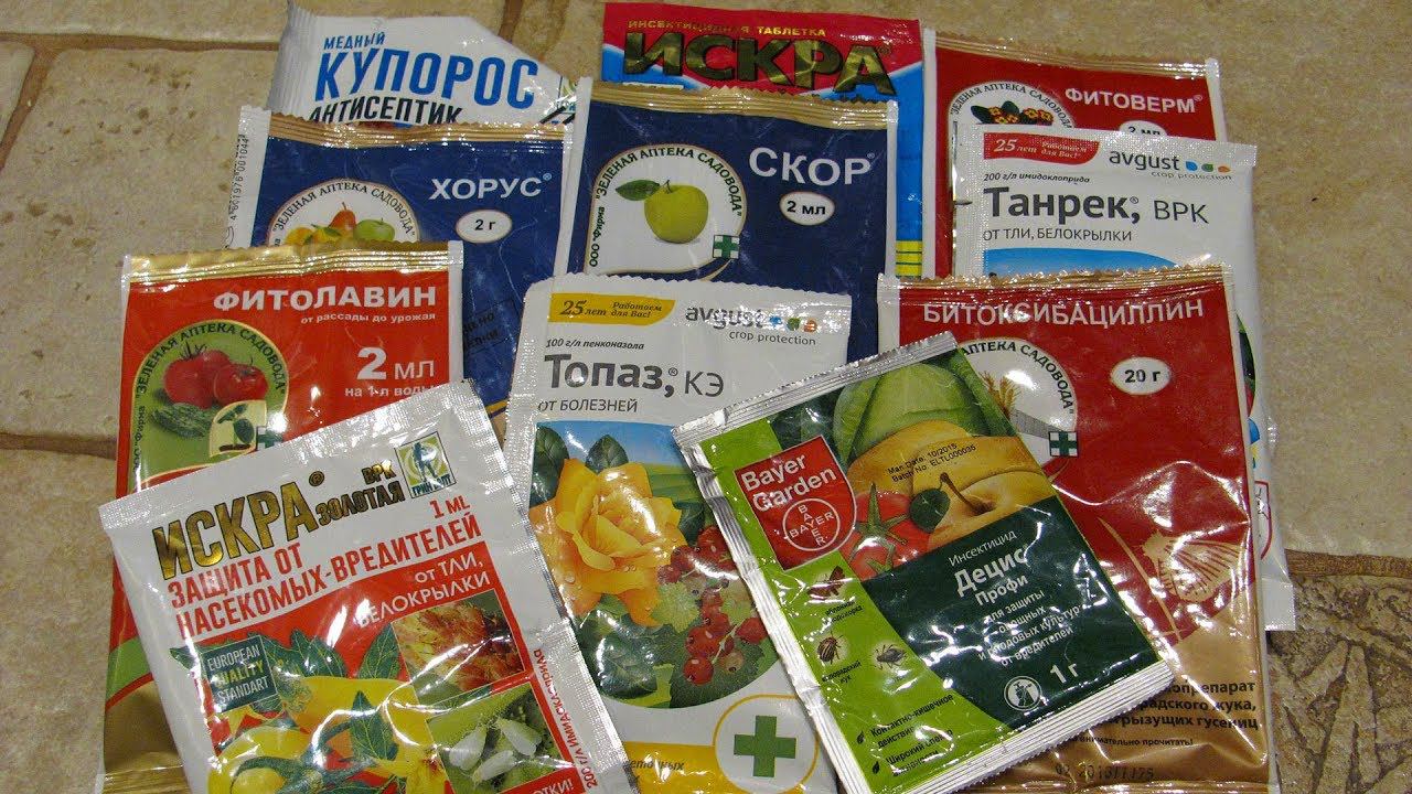 Собираем садовую аптечку  Часть 2  Препараты от болезней