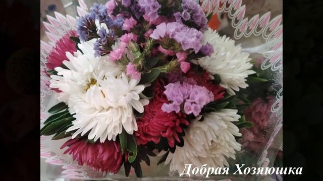 БЮДЖЕТНЫЕ БУКЕТЫ покупают все