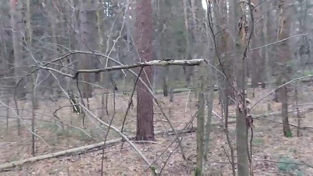 ОТПРАВИТЬ К ЛЕШЕМУ. ОТ ВРАГОВ. ОЧЕНЬ СИЛЬНО. ДЛЯ ВСЕХ. ВЕДЬМИНА ИЗБА ▶️ ИНГА ХОСРОЕВА.mp4