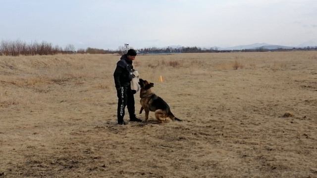 9.  выражено/перв ШТЭНЕНЛЕЙТ ВАЛЬКИРИЯ (Эвил Форкас Спартак – Югория Фрау Феррари)