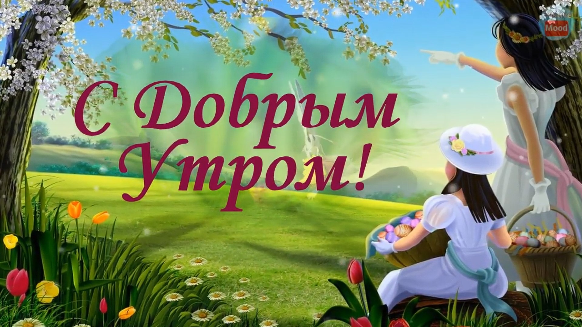 С Добрым Утром! Пожелание с Добрым Утром друзьям!.mp4