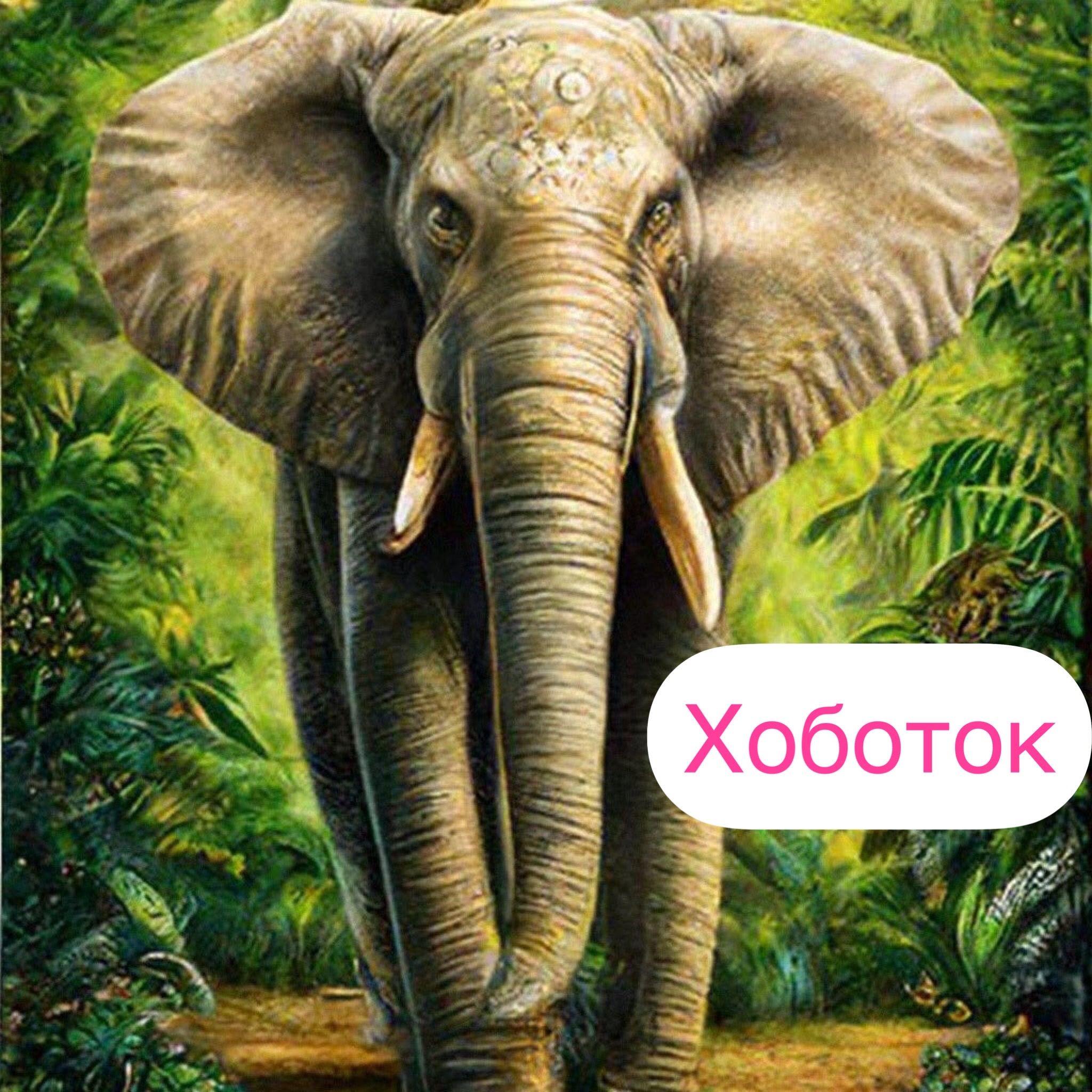 хоботок