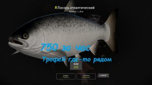 Русская рыбалка 4- Ладожский архипелаг