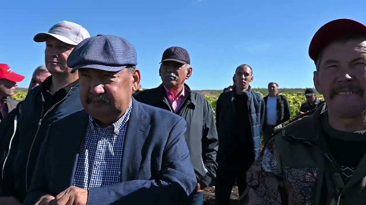 3  День поля  13 09 22г