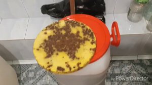 Готовлю медовуху!