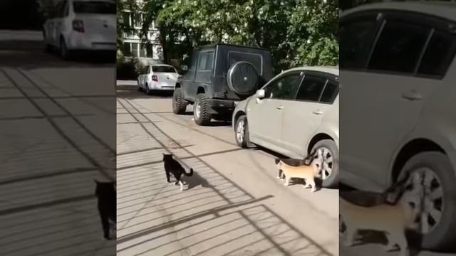 Вся банда в сборе.
