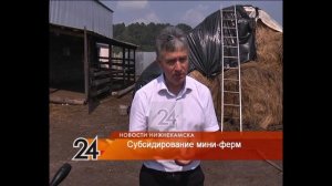 Нижнекамским фермерам рассказали, как получить субсидию от государства