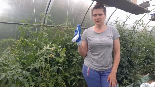 Пасынкую помидоры.Все зарасло.Наша курочка вернулась домой))31 июля..avi