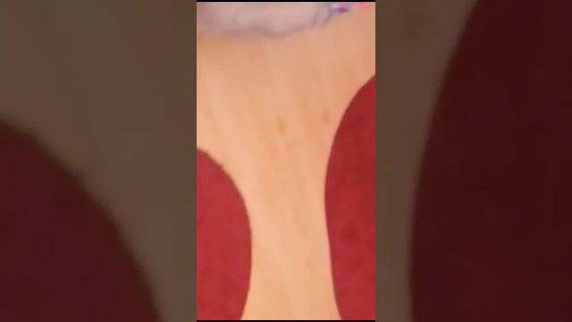 приключения кошки Лизы