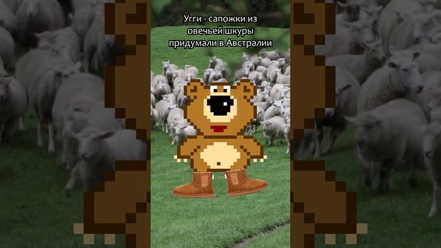 Мишка и угги