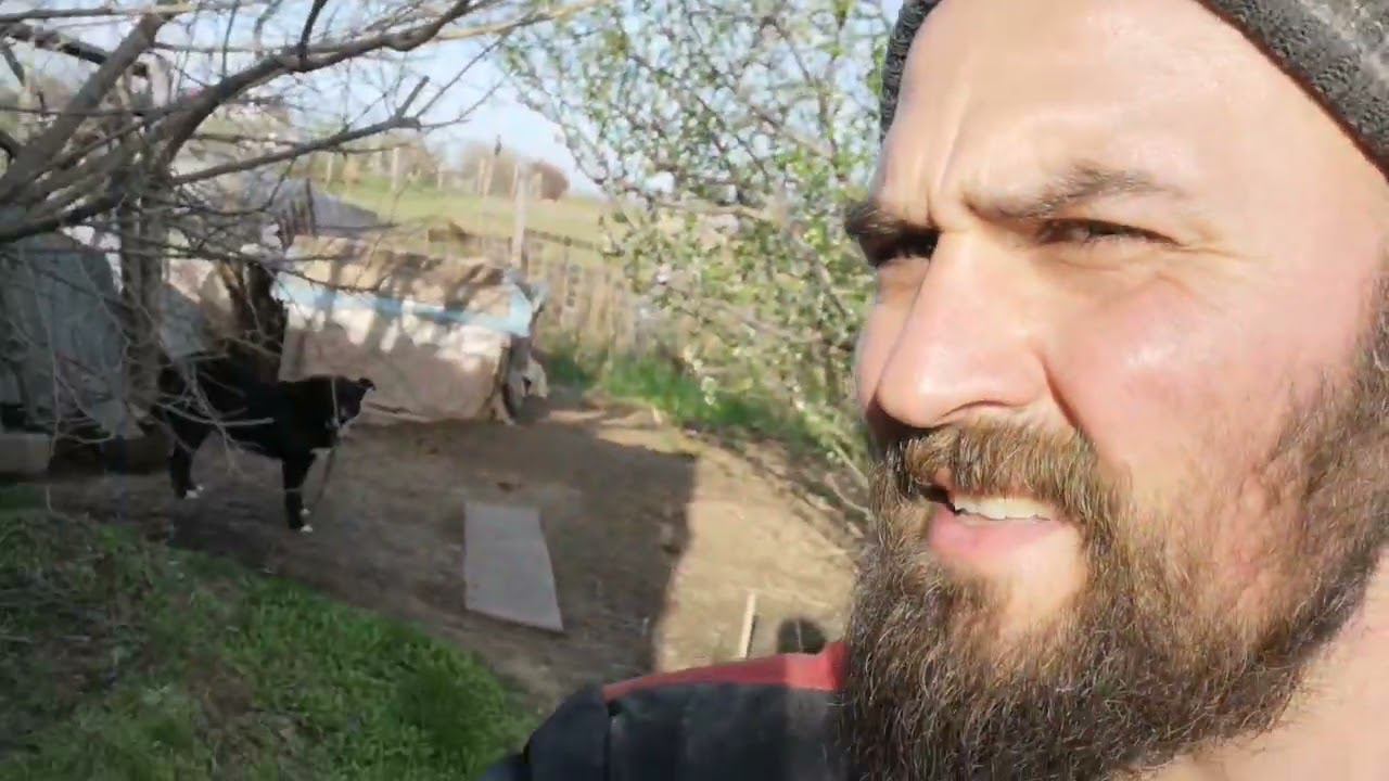 Купил новинки в Сад сажаю миндаль и черешню