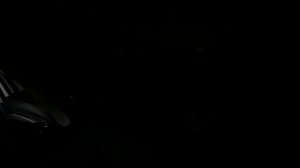 1000028613.mp4