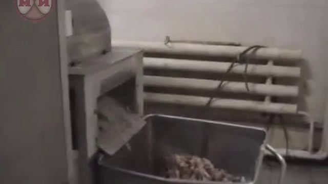 Машина нарезки соломкой дисковая двухплоскостная ММ-ФМД с подъемником