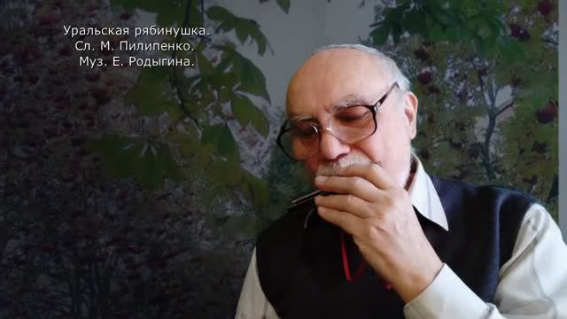 Попурри из народных песен. 1 ч. #ТурочакСтепаныч