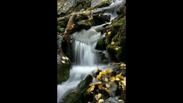 Значение переднего плана в фотографии
