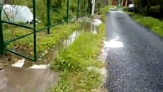 Дача лето 2020k.mp4