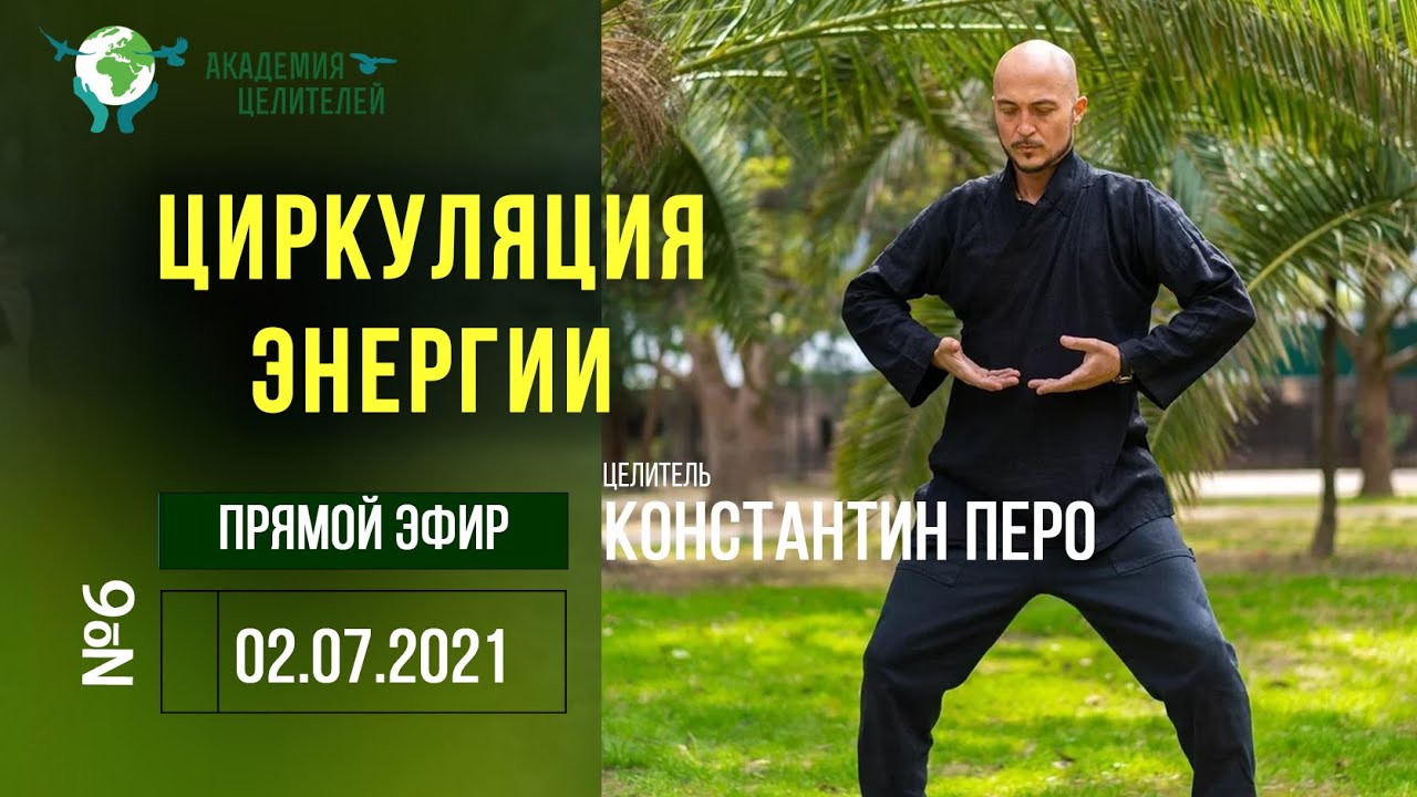 Восстановление циркуляции энергии #6 Константин Перо. Академия Целителей..mp4