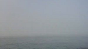 Рыбалка в Сочи начало мая