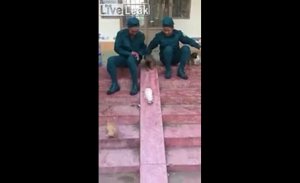 Самодельный аттракцион - горки
