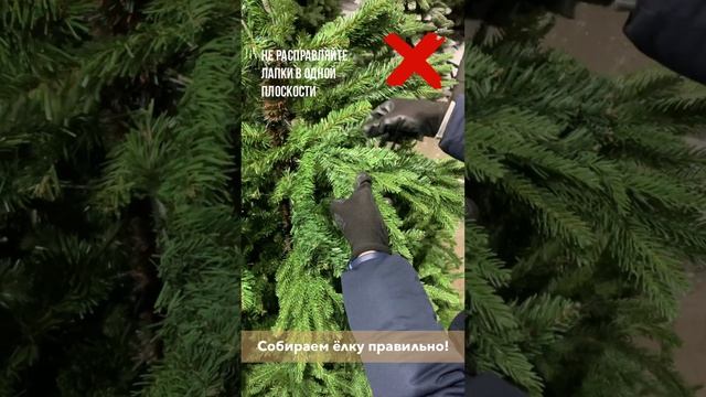 Как не правильно собирать нашу елку