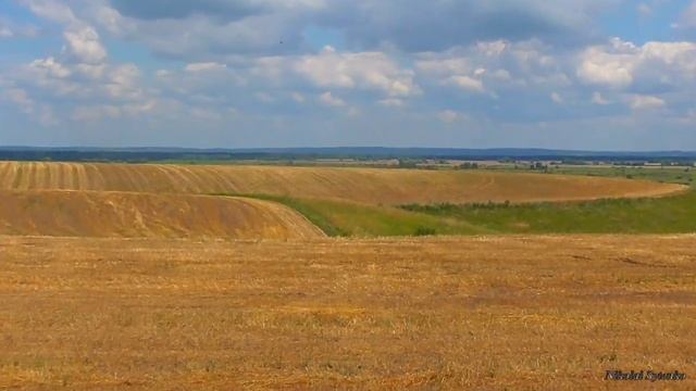 Не жалейте о прожитом .