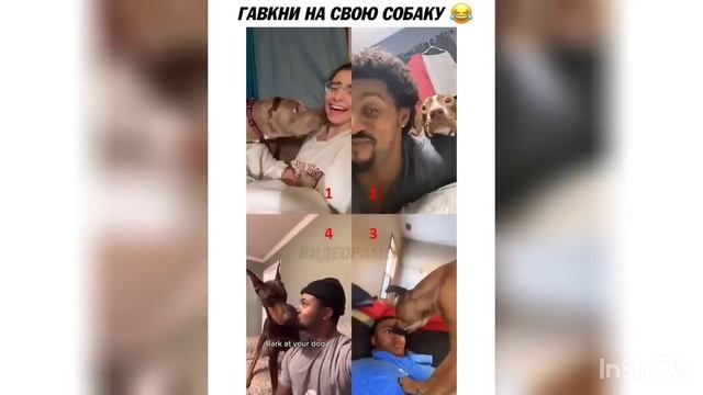 Попробуй не засмеяться! 100% проиграешь! 😹
